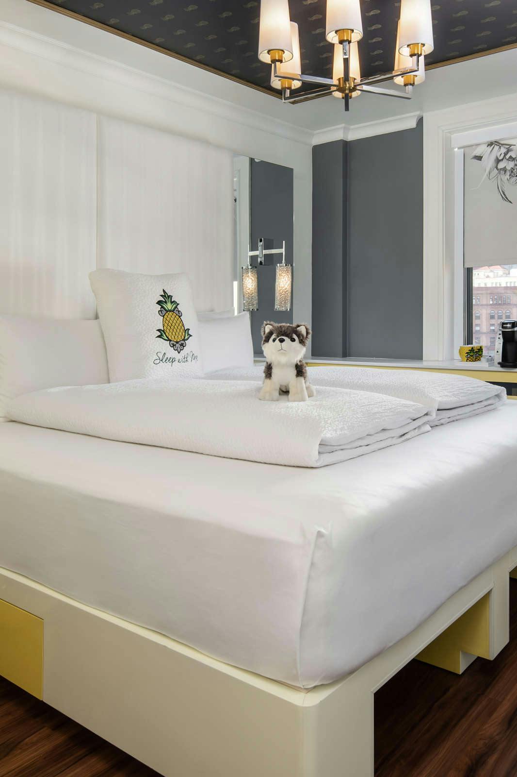Staypineapple, A Delightful Hotel, South End, Boston - HotelTonight