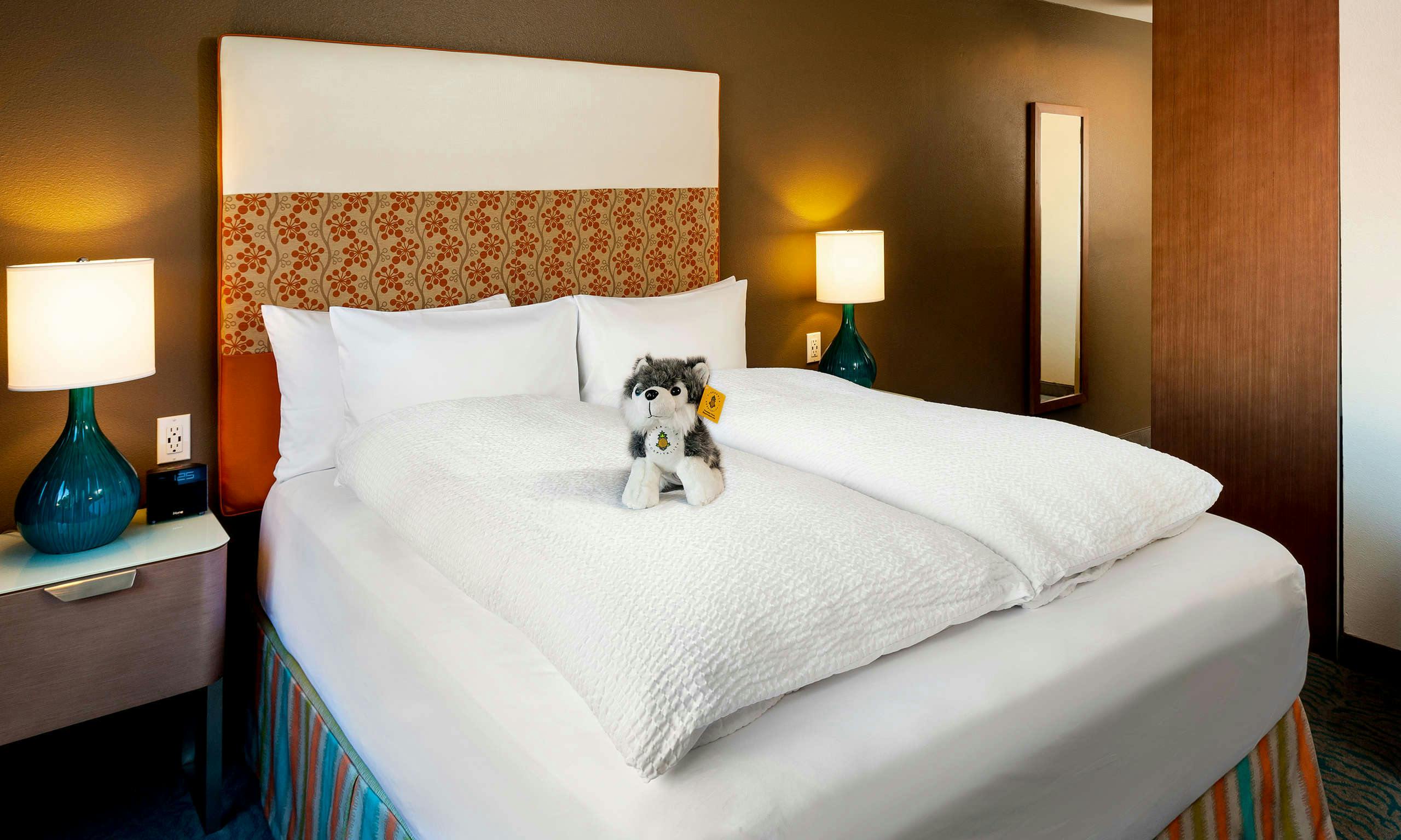 Staypineapple at University Inn, Seattle - HotelTonight